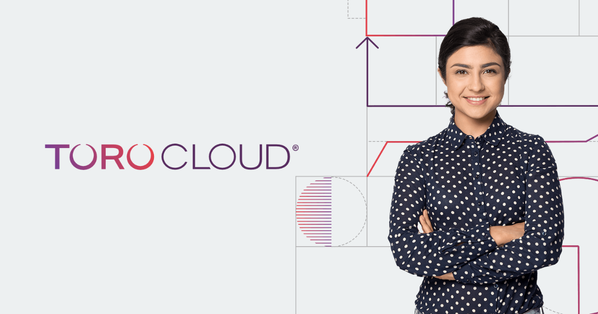 Powerful data integration solution | Martini | Toro Cloud